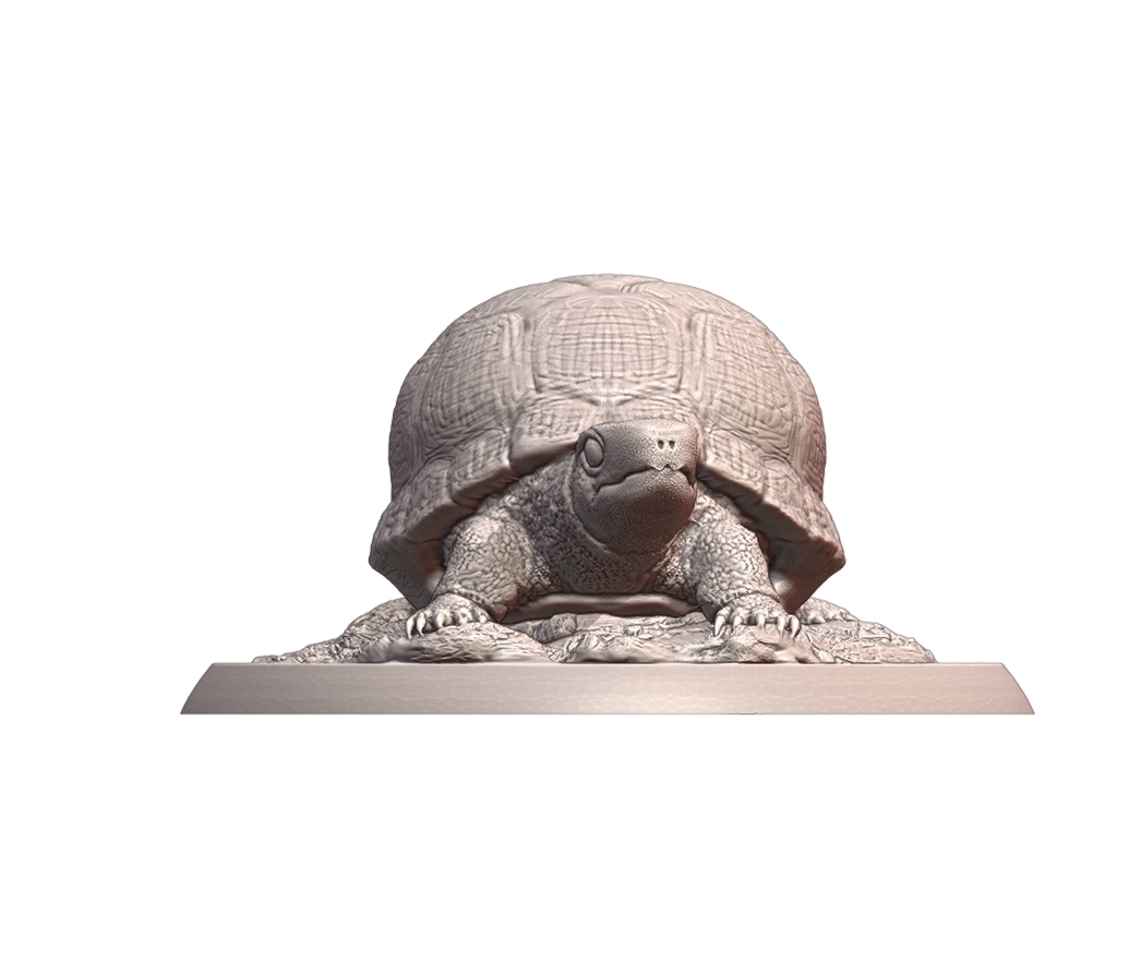 STL file Turtle・3D print model to download・Cults